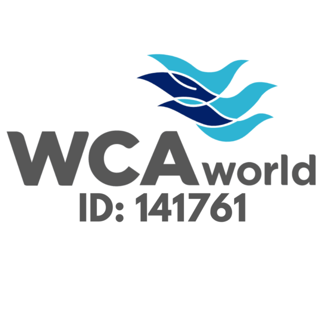 Our Global Presence – CL Synergy Limited