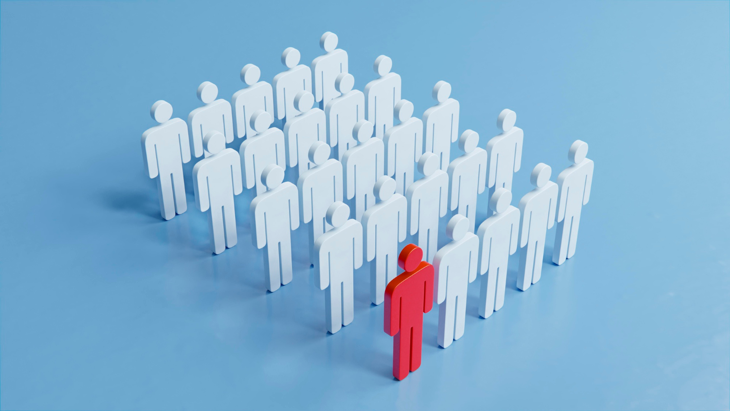 About Us – CL Synergy Limited